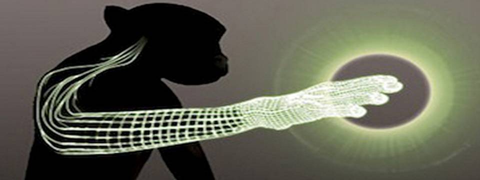 NASA’s New Robot that Mimics the Movements of Monkeys | Tech and Facts