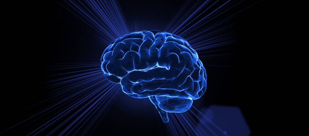 The Most Intelligent Person In The World | Tech and Facts