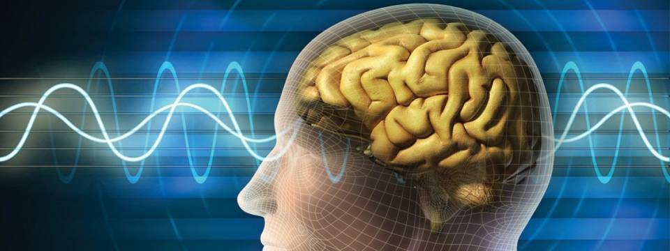 Cognitive Skills Improved By Playing PC Game