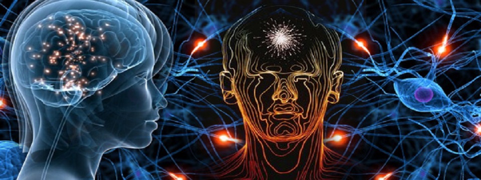 Scientists Know the Connection Between Sleep and Memory | Tech and Facts