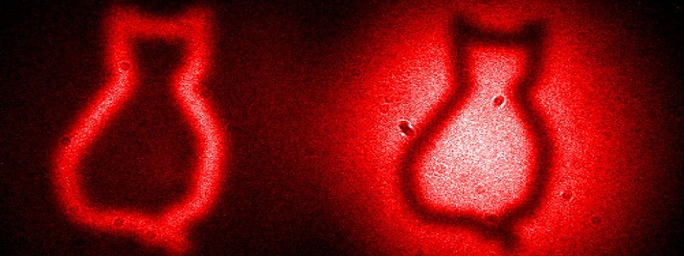 New Quantum Camera can Take Pictures of "Ghosts" | Tech and Facts