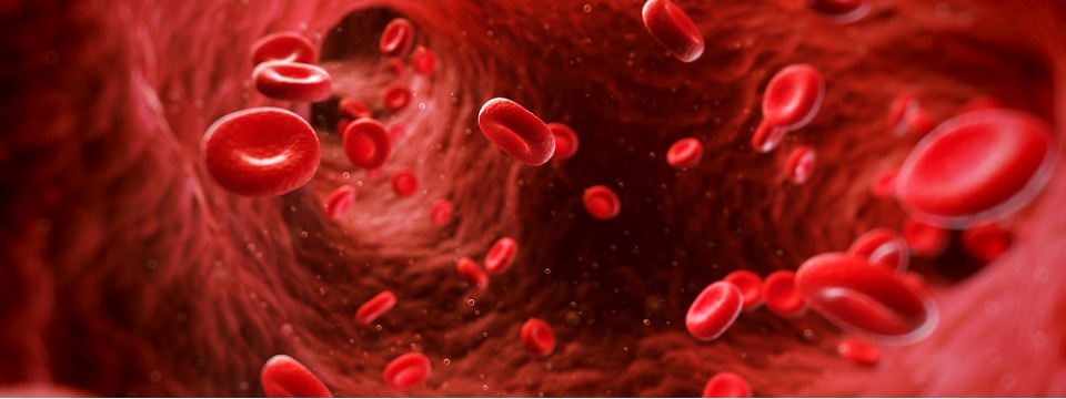 More Lives Can Be Saved - Scientists Created Universal Blood | Tech and ...